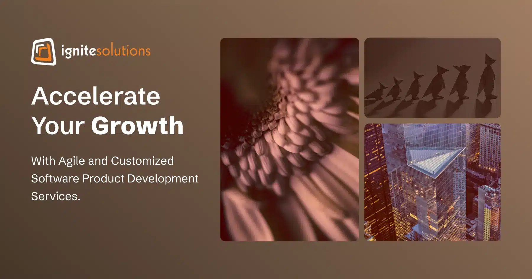 Custom Software Development Services | Ignite Solutions